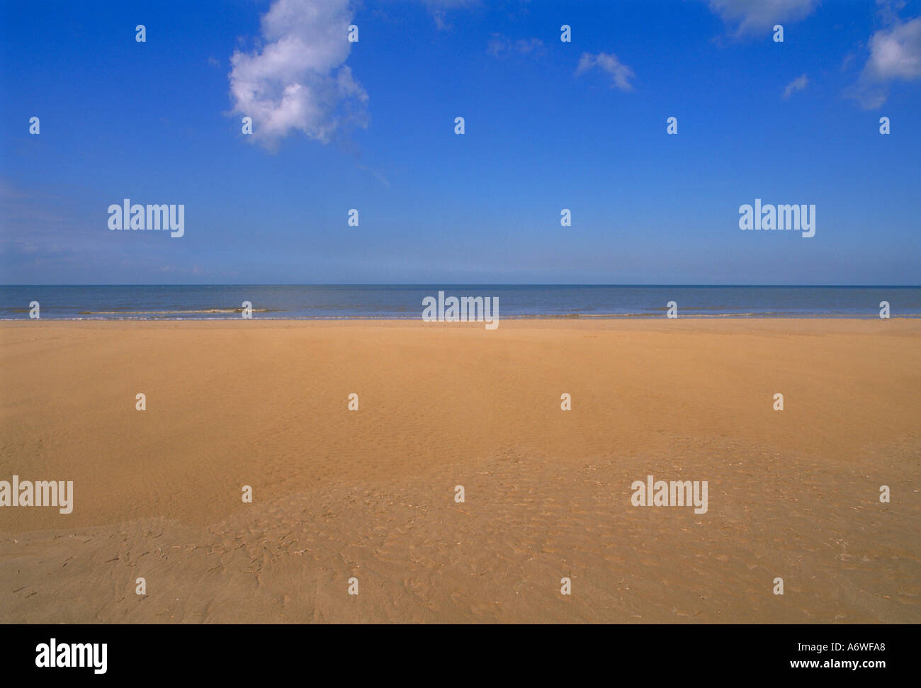 Landscape of sandy beach and blue sky with white cloud Stock Photo - Alamy