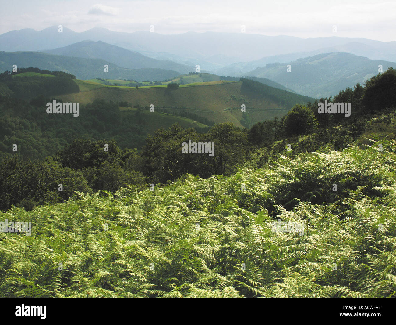 france aquitaine pays basque basque country pyrenees atlantique near ...