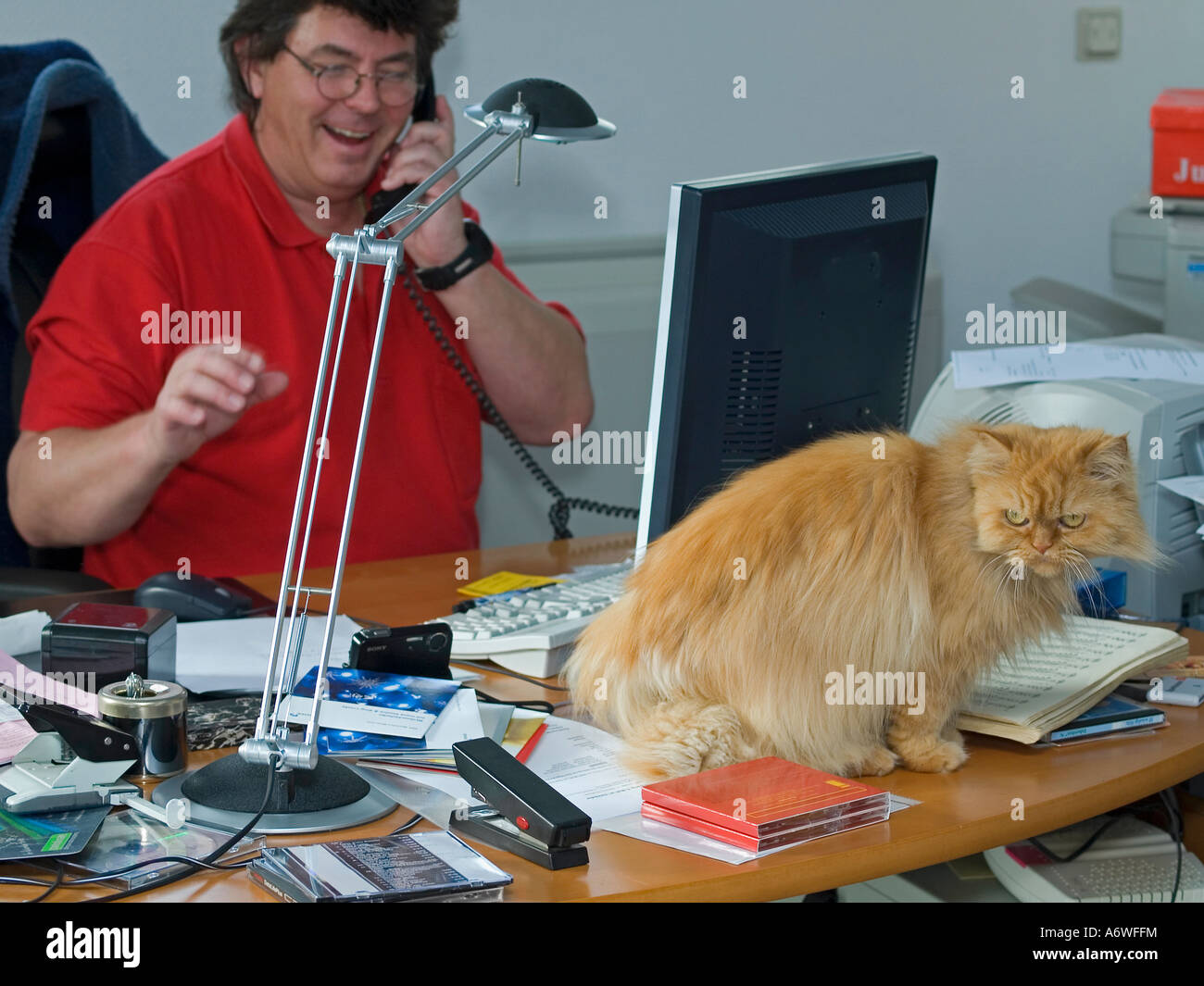 Man Talking With Cat