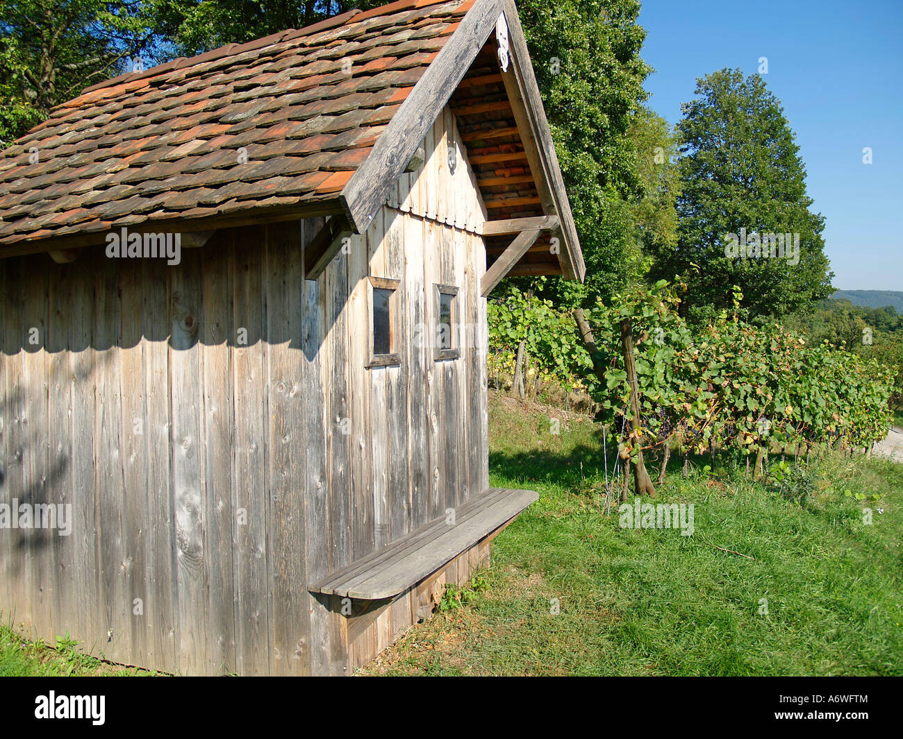 hut in vineyards in the landscape with vineyards along the hiking trail ...