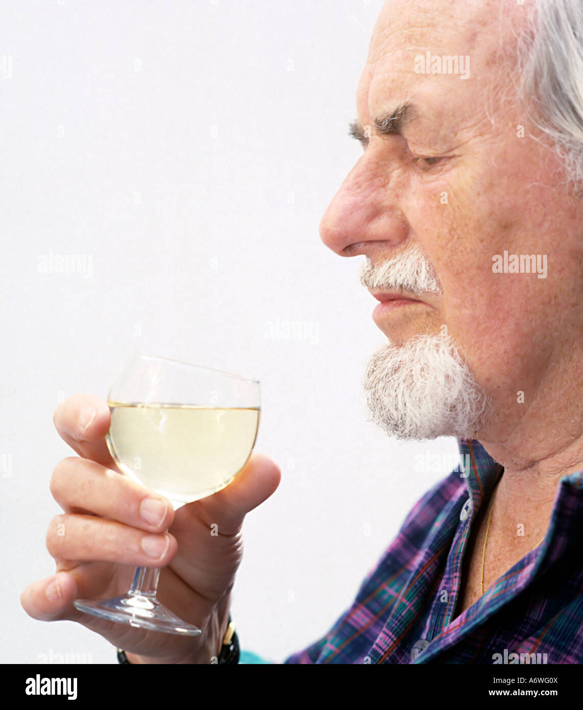 MR elder man senior citizen holding a glass of wine tasting white wine ...