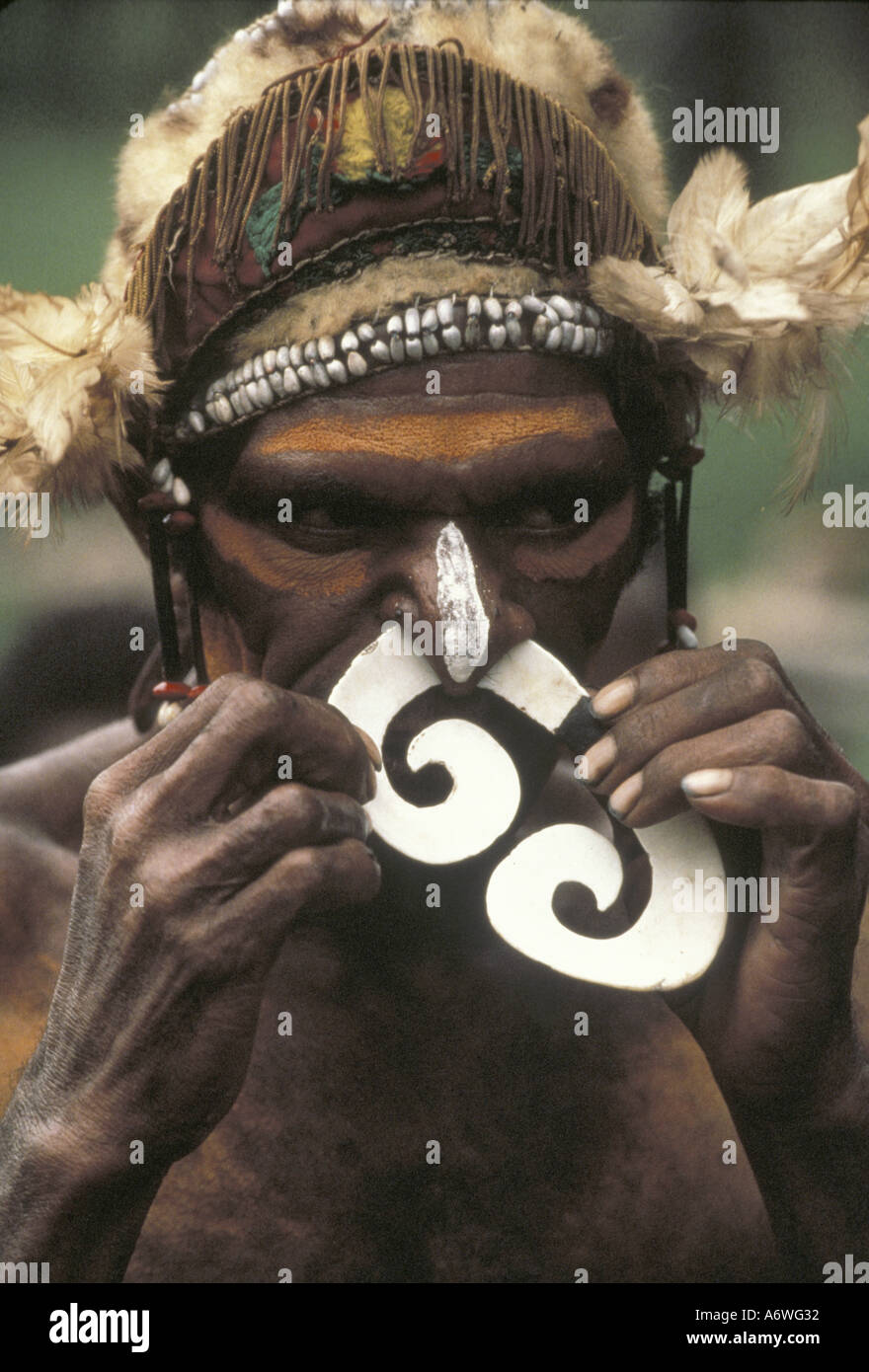 ASIA, Indonesia, West Papau (Irian Jaya), Asmat Region, Ocanep Village ...