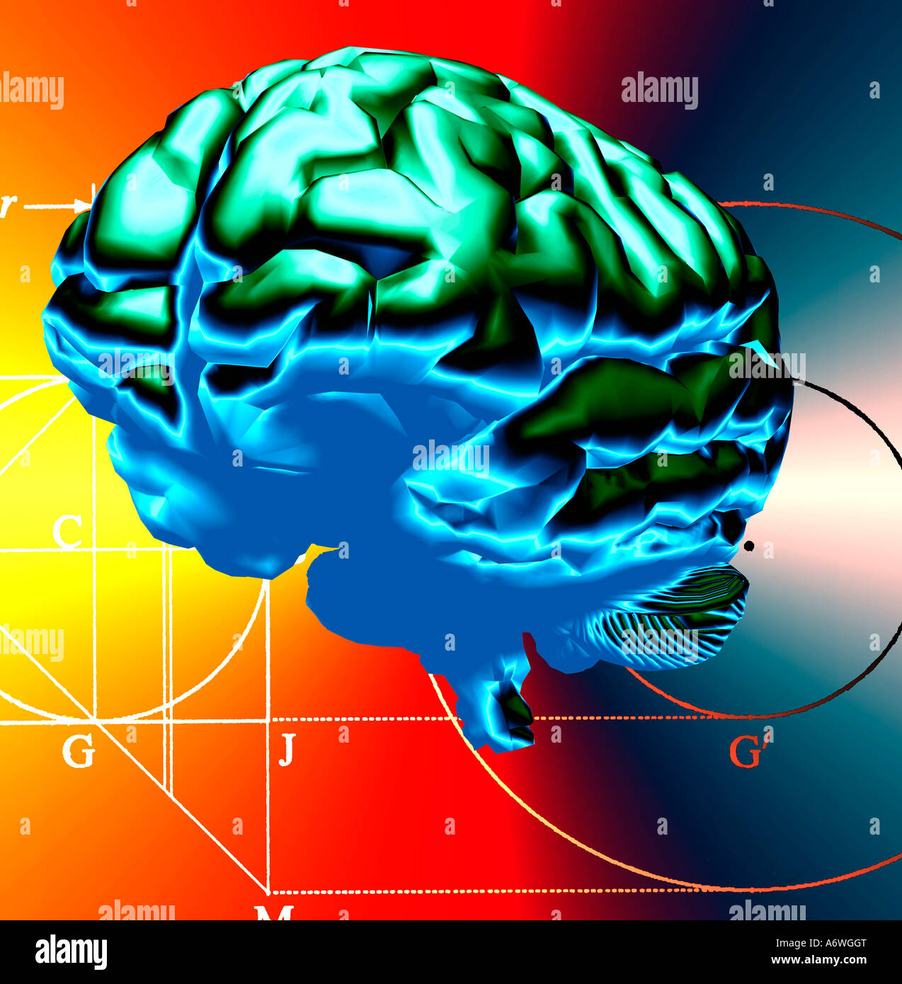 computer generated model of a human brain composited on a medical chart ...