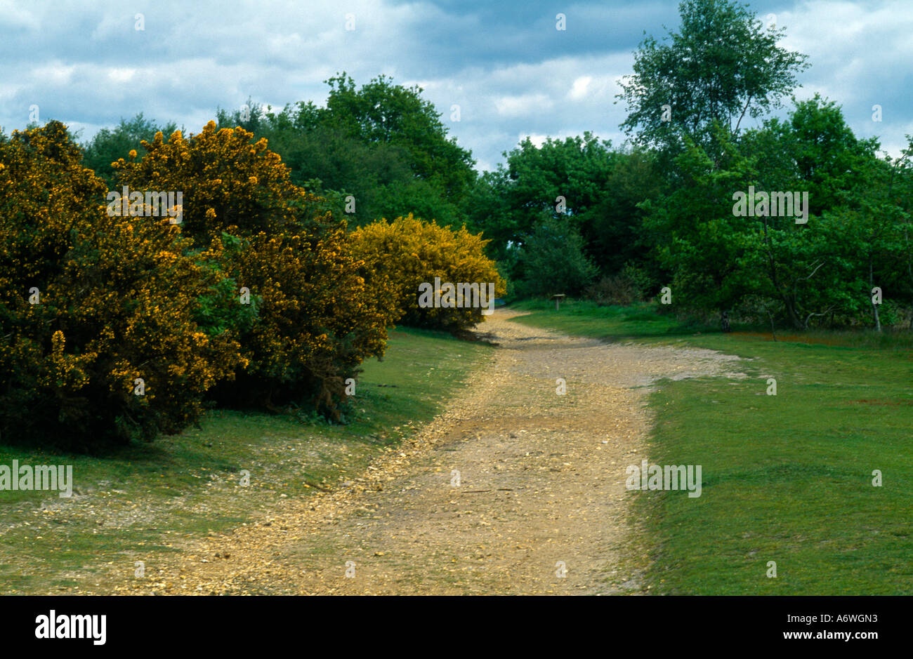Headley surrey hi-res stock photography and images - Alamy