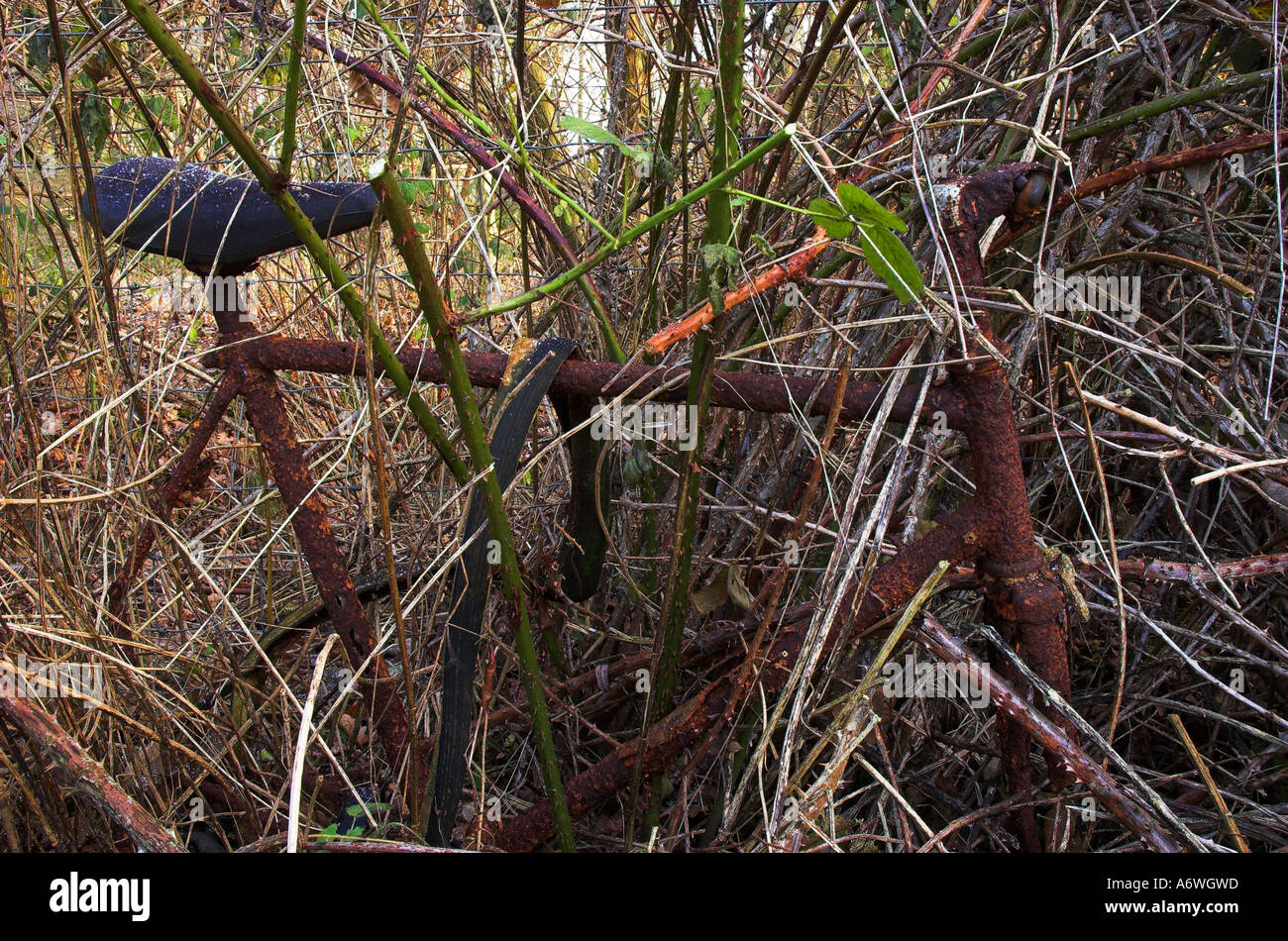 Rusty bike hi-res stock photography and images - Alamy