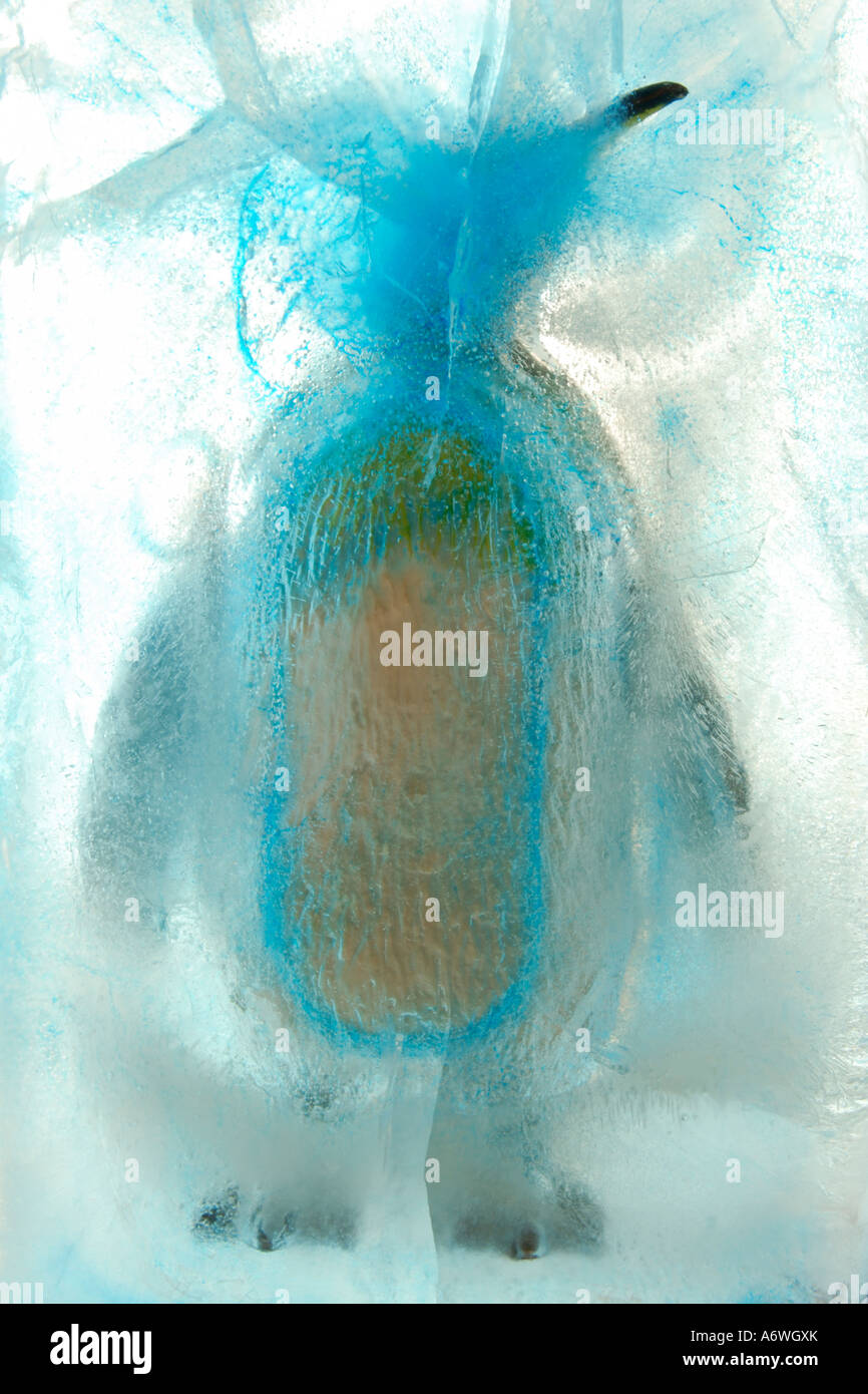 Frozen Toy Penguin Stock Photo - Alamy