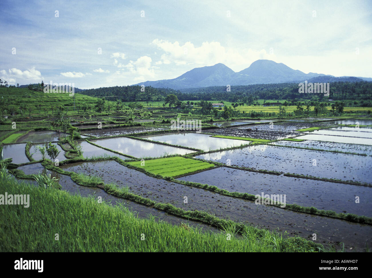 Rice paddies agung hi-res stock photography and images - Alamy