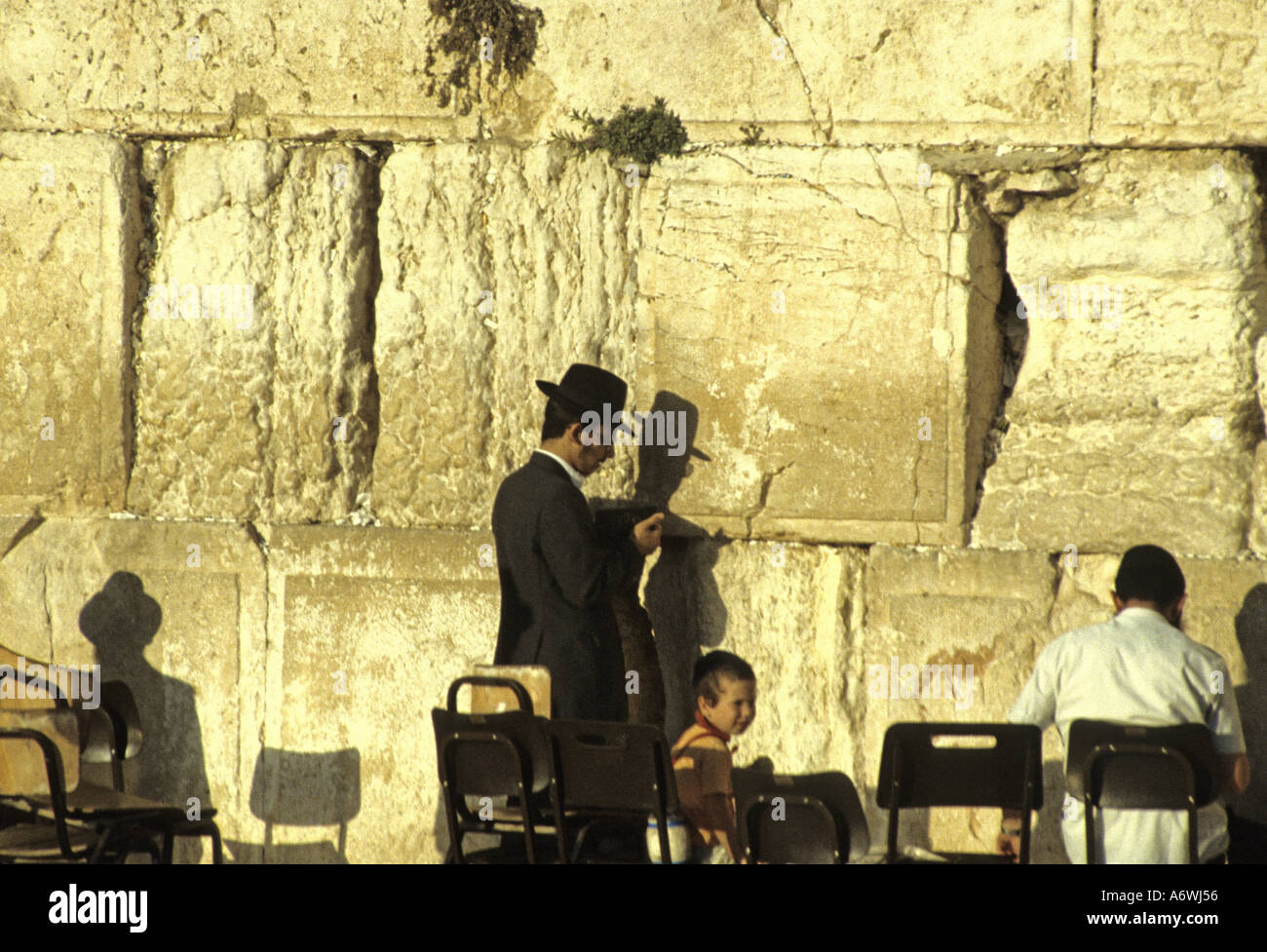 Dovening at the Wailing Wall Stock Photo - Alamy