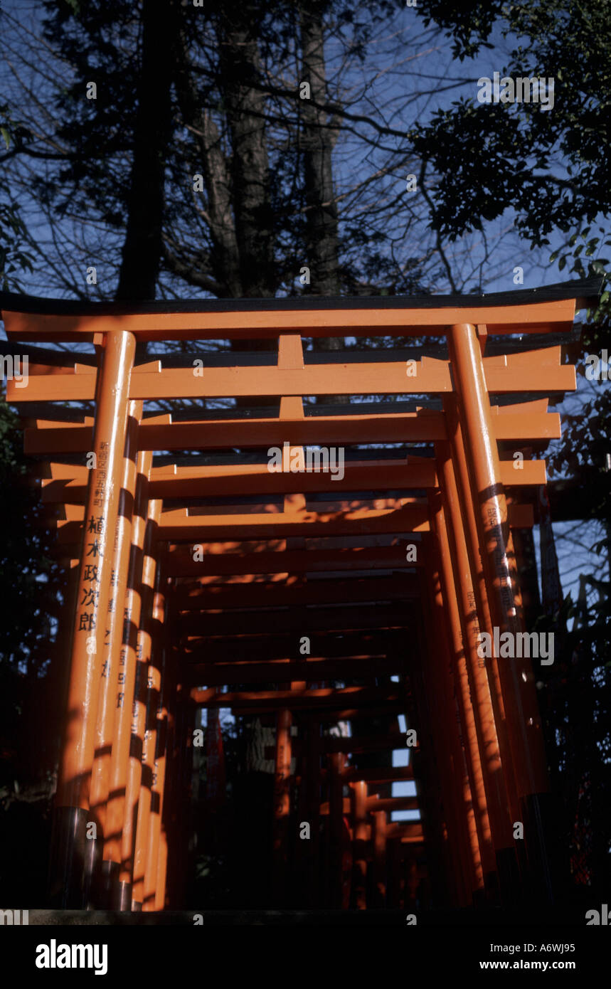 Japan, Tokyo Multiple shrine gates Stock Photo - Alamy