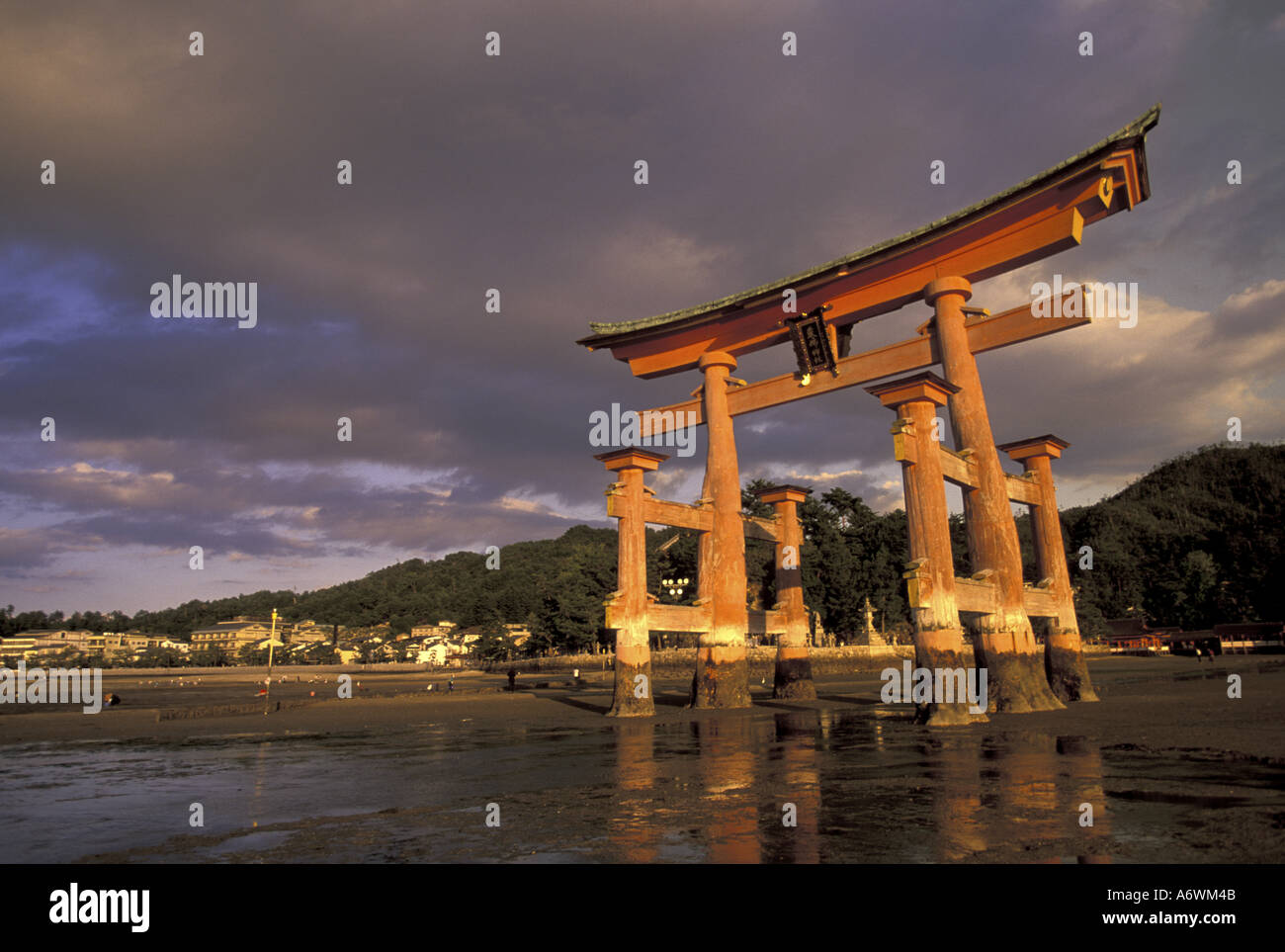 Floating Photography Japanese