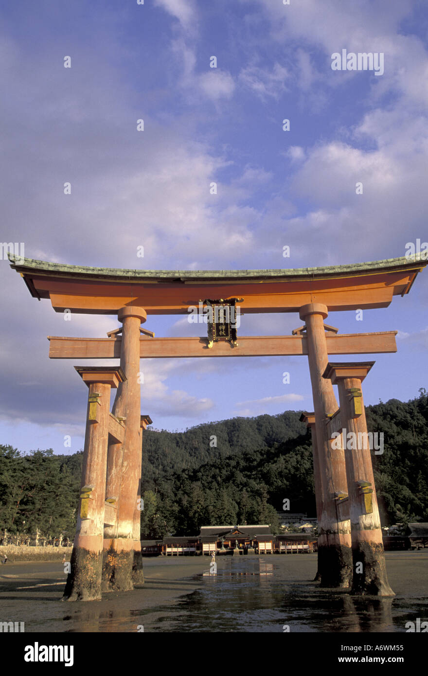 Asia, Japan, western Honshu, Niya, Jima Island, Floating Tori ...