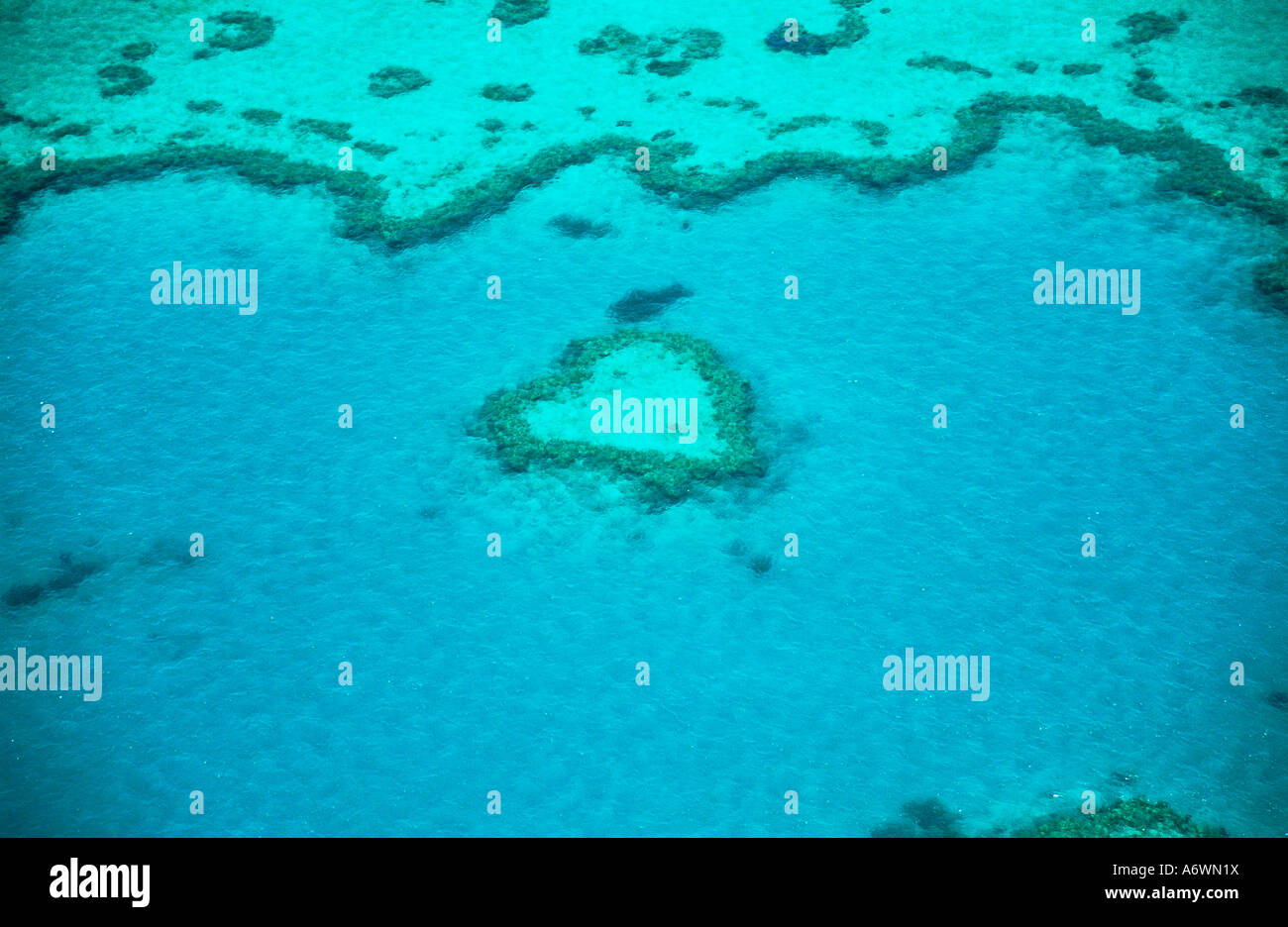 Heart Reef, Great Barrier Reef, Queensland Australia Stock Photo - Alamy