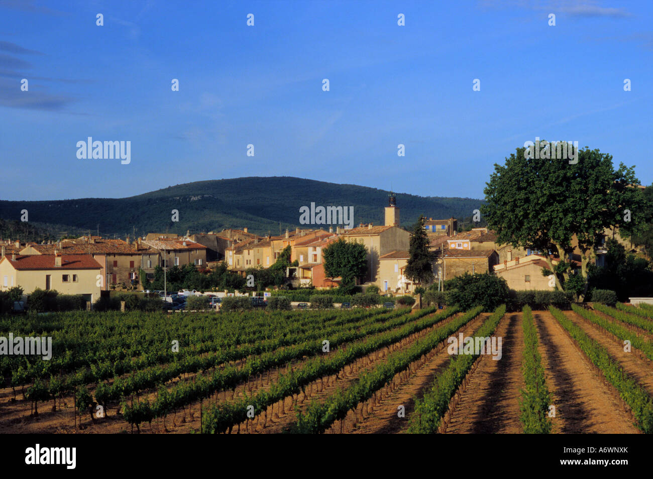 Pignan Var 83 France Provence Europe Stock Photo - Alamy