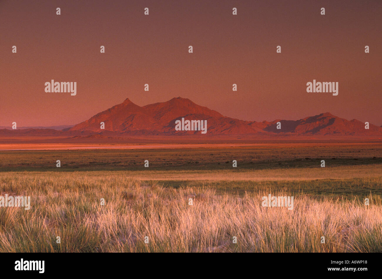 Asia, Mongolia, Gobi Desert, Great Gobi Protected Area. Mother Mountain ...