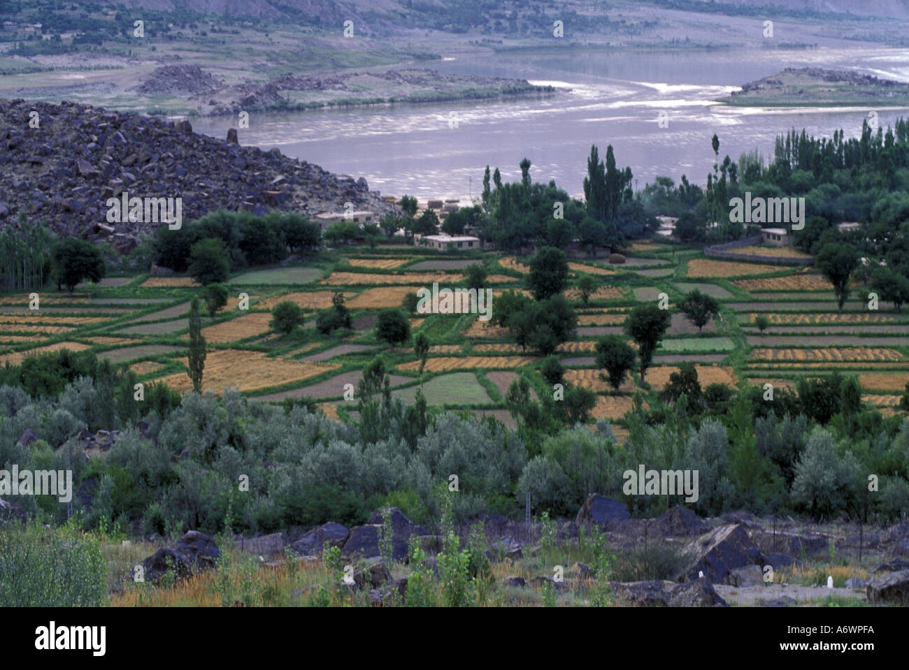 Pakistan, Indus Valley, Skardu Region. Agriculture fields Stock Photo ...