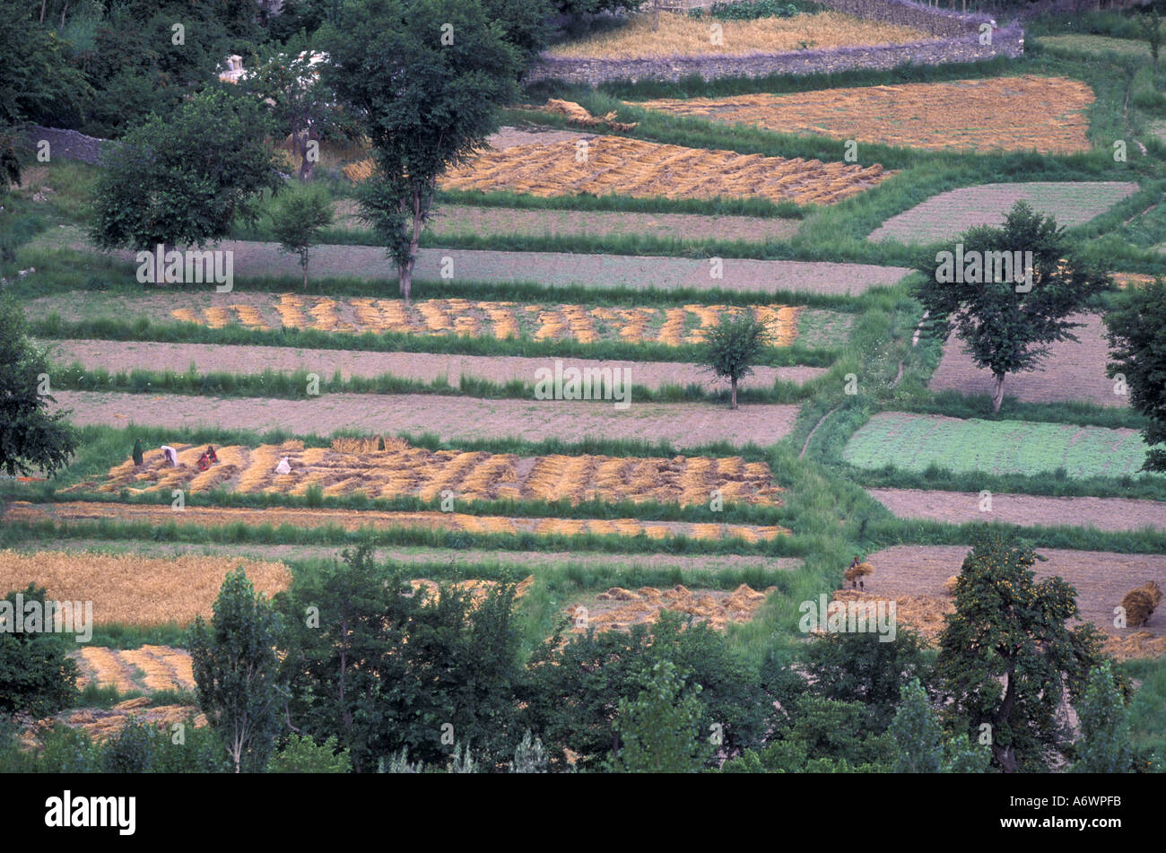 Indus valley pakistan hi-res stock photography and images - Alamy