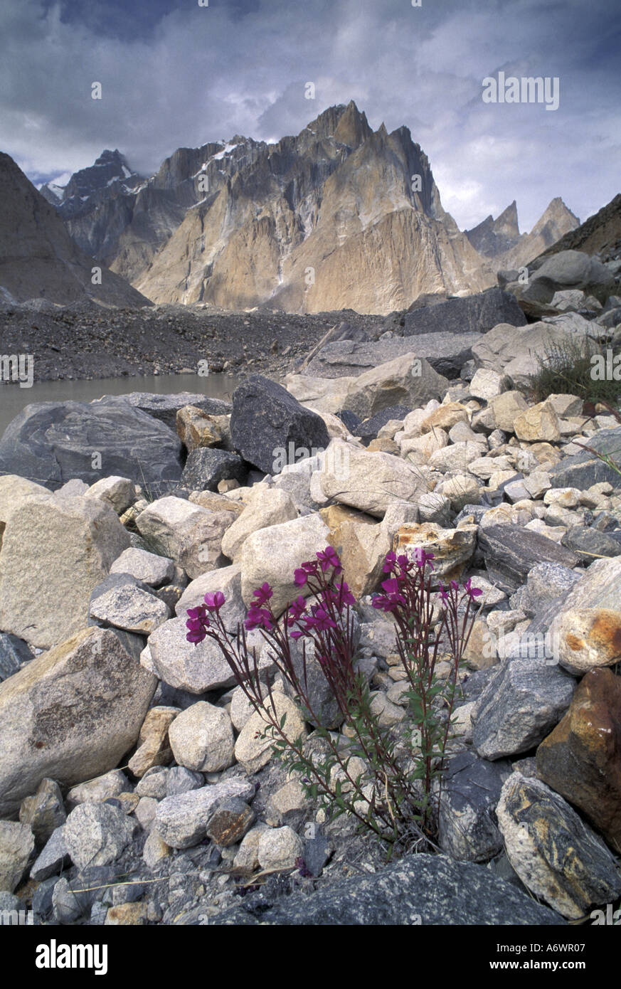 Baltoro muztagh range hi-res stock photography and images - Alamy