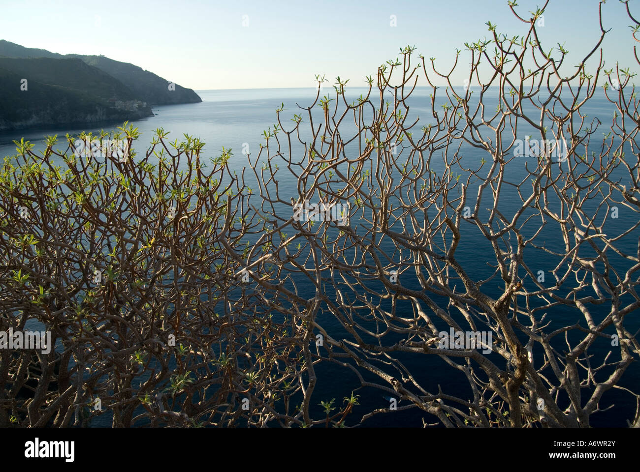 5 Cinque Terre UNESCO protected territory Stock Photo - Alamy