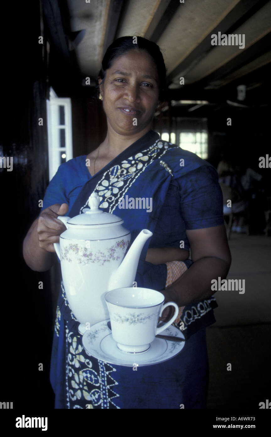Asia, Sri Lanka, Kandy, Tea Plantation. tea service Stock Photo - Alamy
