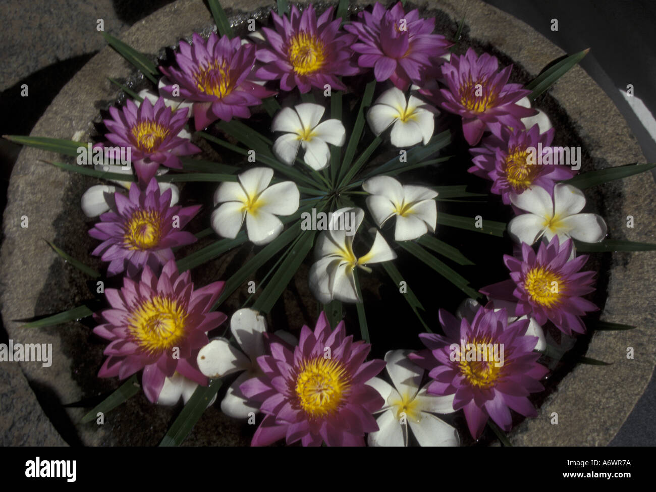 Asia, Sri Lanka, Kandy. floating flower arrangement Stock Photo - Alamy