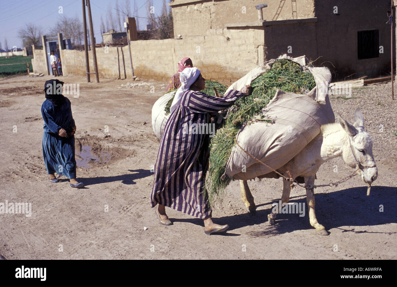 Rural damascus hi-res stock photography and images - Alamy