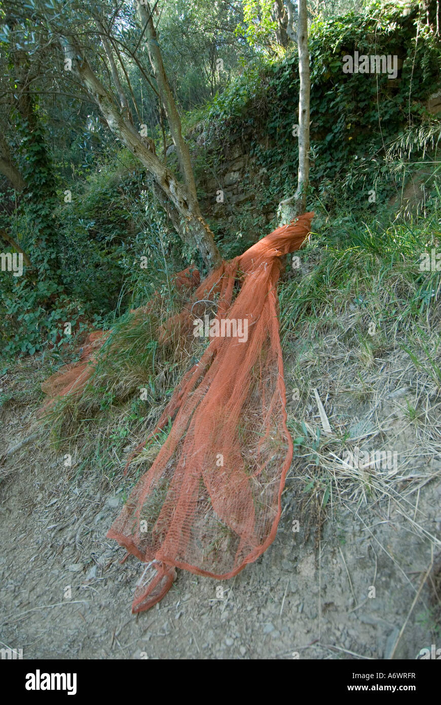 5 Cinque Terre UNESCO protected territory Stock Photo - Alamy