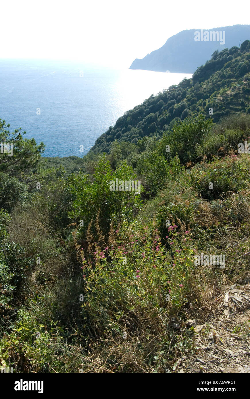 5 Cinque Terre UNESCO protected territory Stock Photo - Alamy