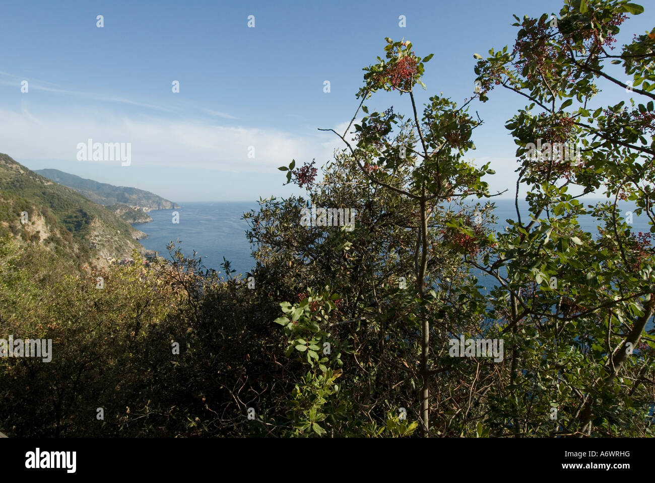 5 Cinque Terre UNESCO protected territory Stock Photo - Alamy