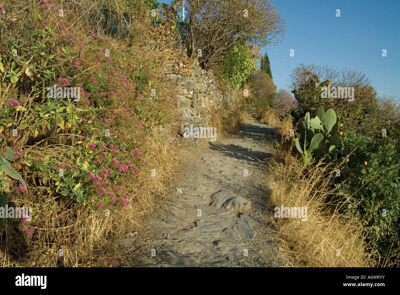 5 Cinque Terre UNESCO protected territory Stock Photo - Alamy