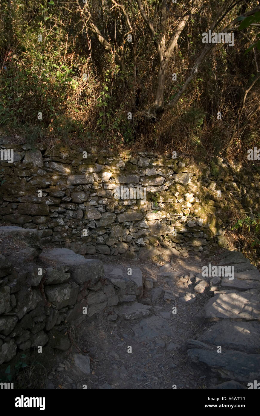 5 Cinque Terre UNESCO protected territory Stock Photo - Alamy