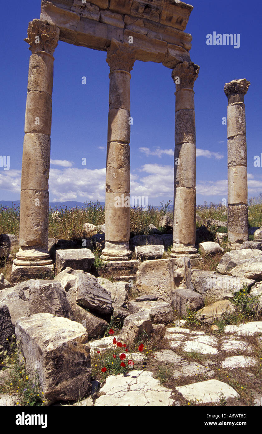 Apamea old ruins hi-res stock photography and images - Alamy