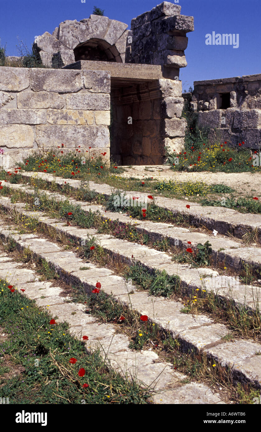 Syria, Apamea, Ruins of St. Simeon Monastery Stock Photo - Alamy