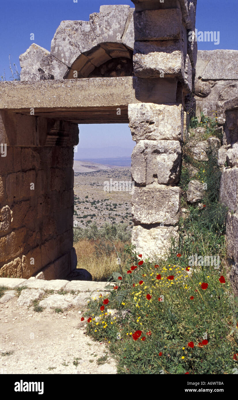 Syria, Apamea, Ruins of St. Simeon Monastery Stock Photo - Alamy
