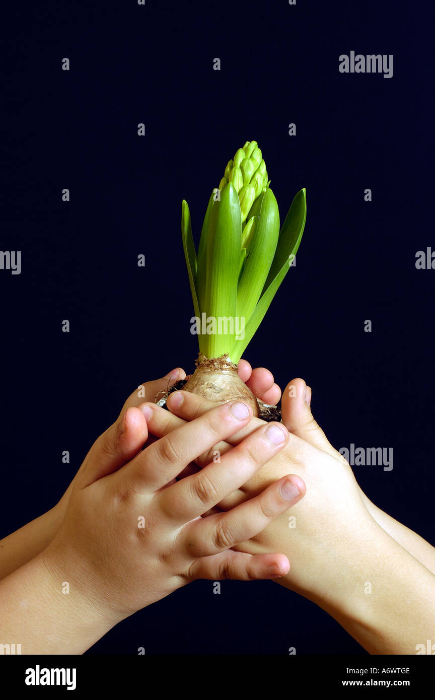 flower on hands Stock Photo - Alamy
