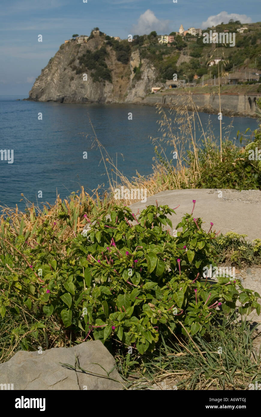 5 Cinque Terre UNESCO protected territory Stock Photo - Alamy