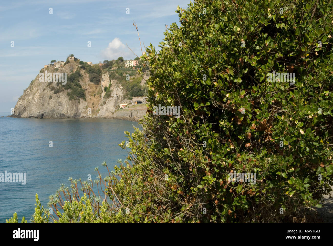 5 Cinque Terre UNESCO protected territory Stock Photo - Alamy