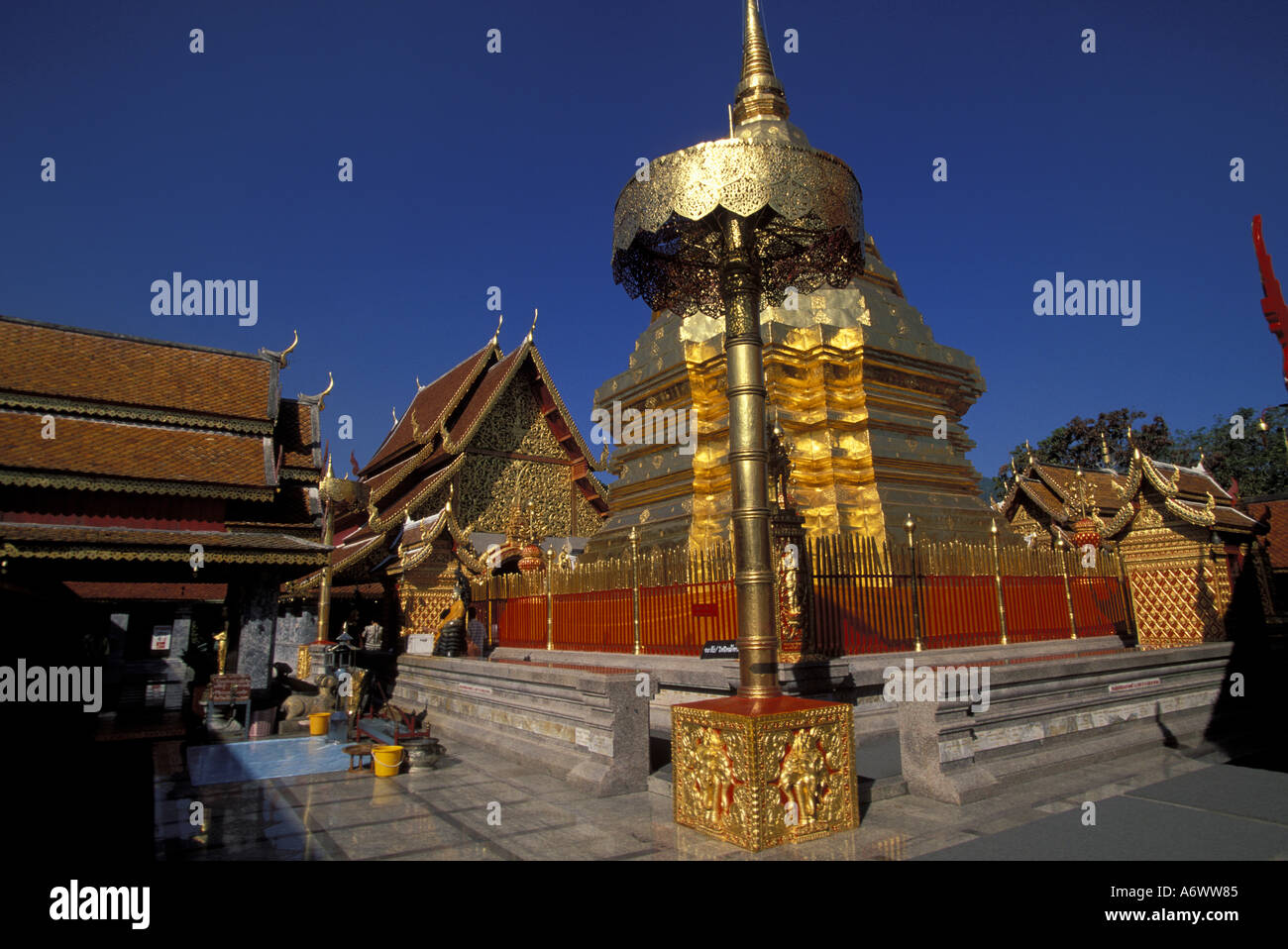 Thailand, Chiang Mai. Golden Chedi and temple at Wat Doi Suthep Stock ...