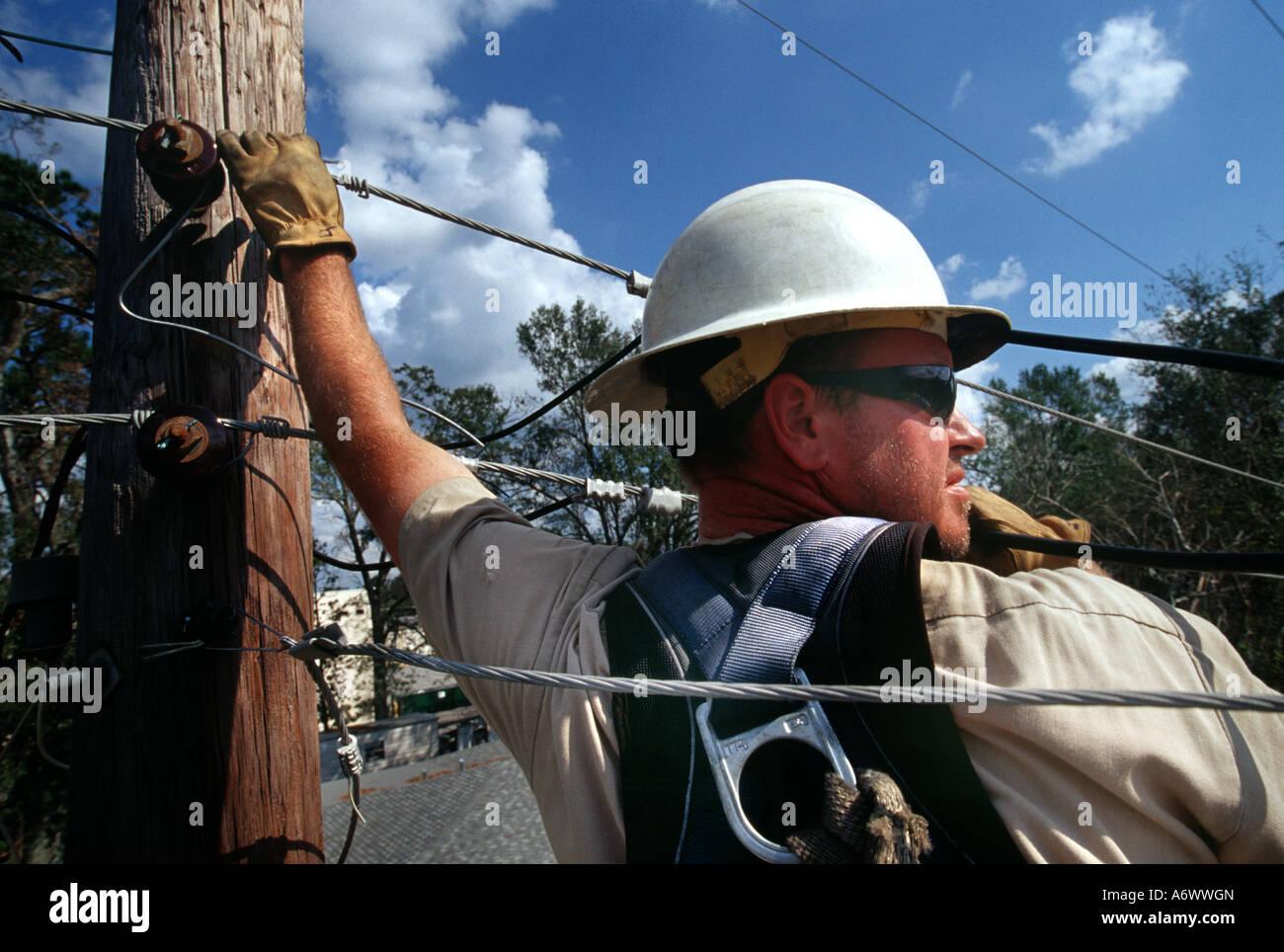 After Hurricane Rita in Texas and Louisiana, American Electric Power ...