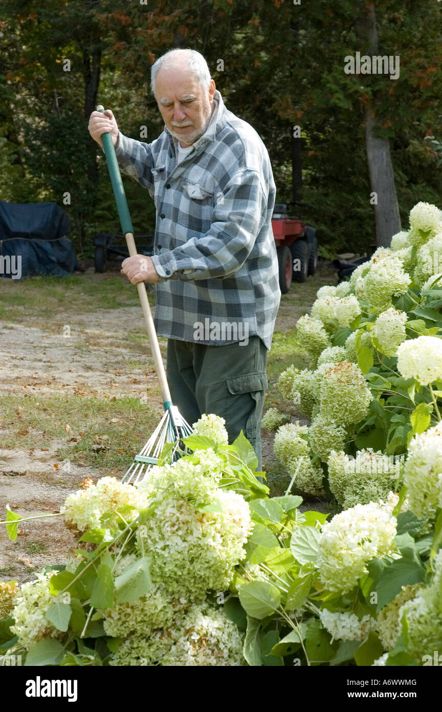 Grandfather gardener senior active hi-res stock photography and images ...