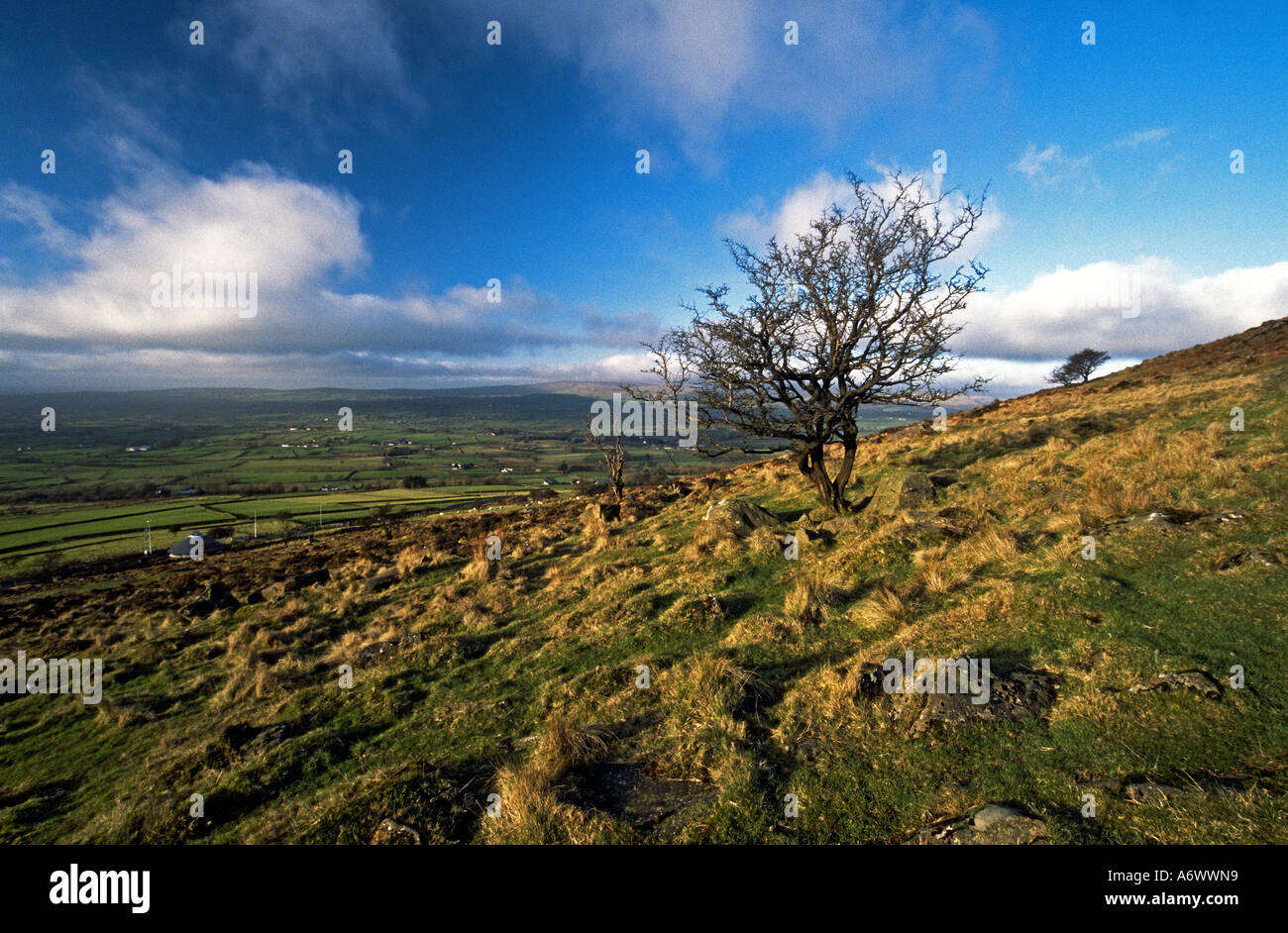 Slemish mountain hi-res stock photography and images - Alamy