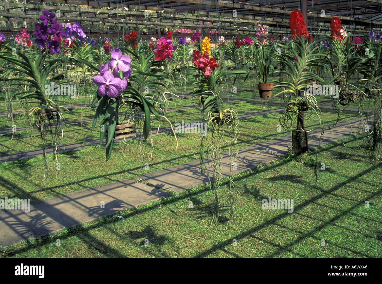 Mae sa valley thailand hi-res stock photography and images - Alamy