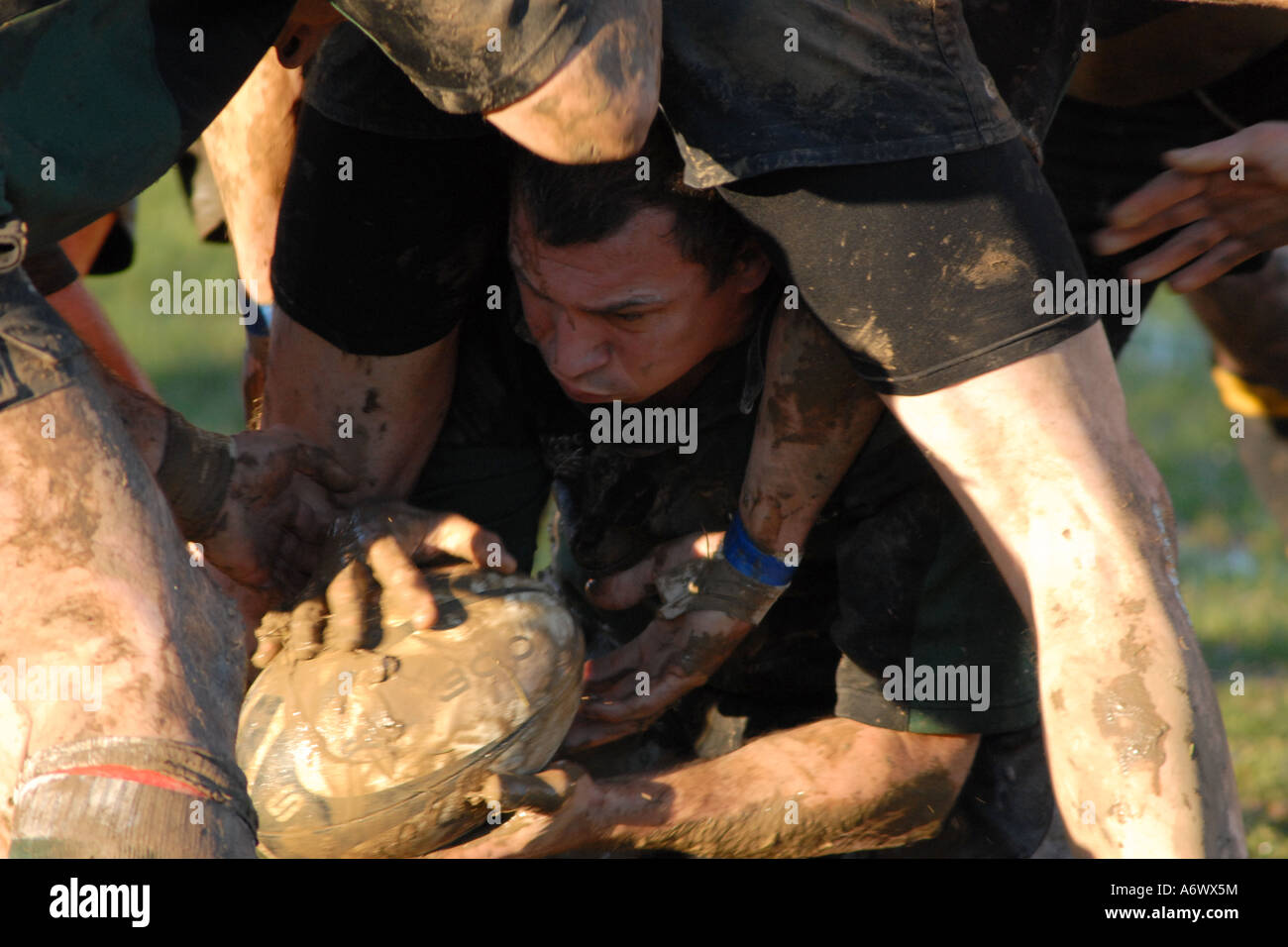 Muddy rugby players and ball in a maul Stock Photo - Alamy