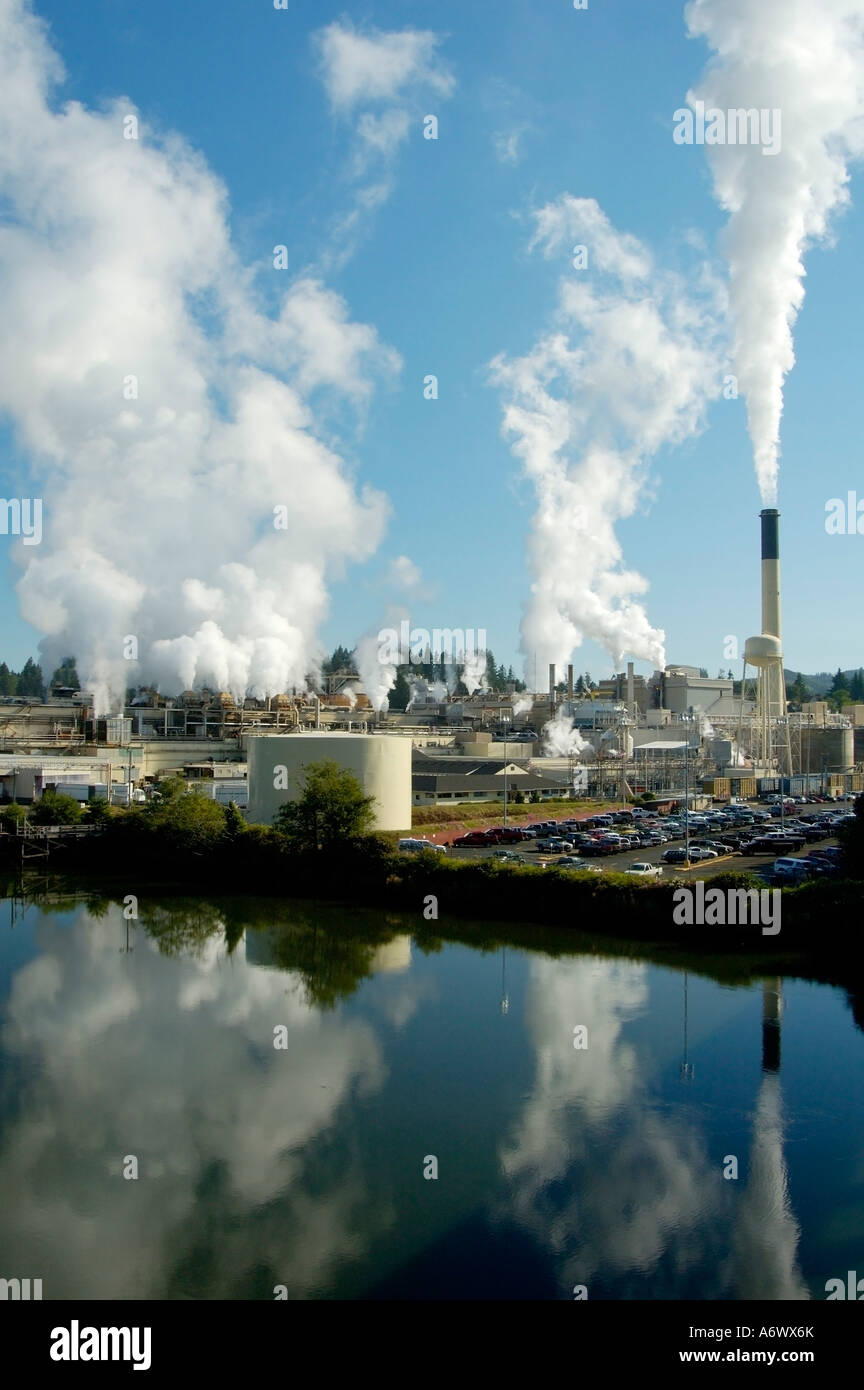 Forest products processing plant Stock Photo - Alamy