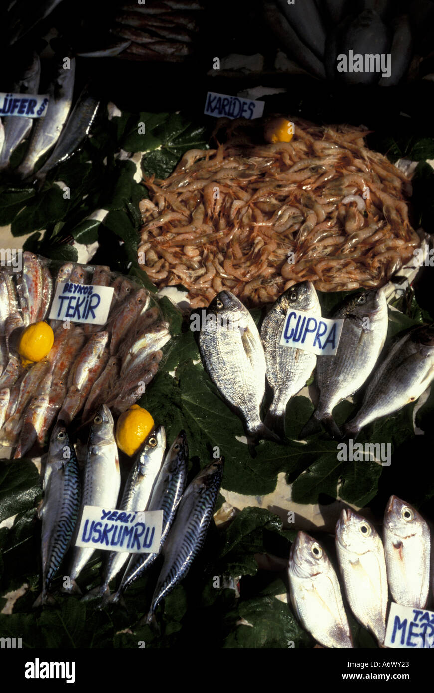 Istanbul, Turkey Fish market along the Bosphorus Stock Photo - Alamy