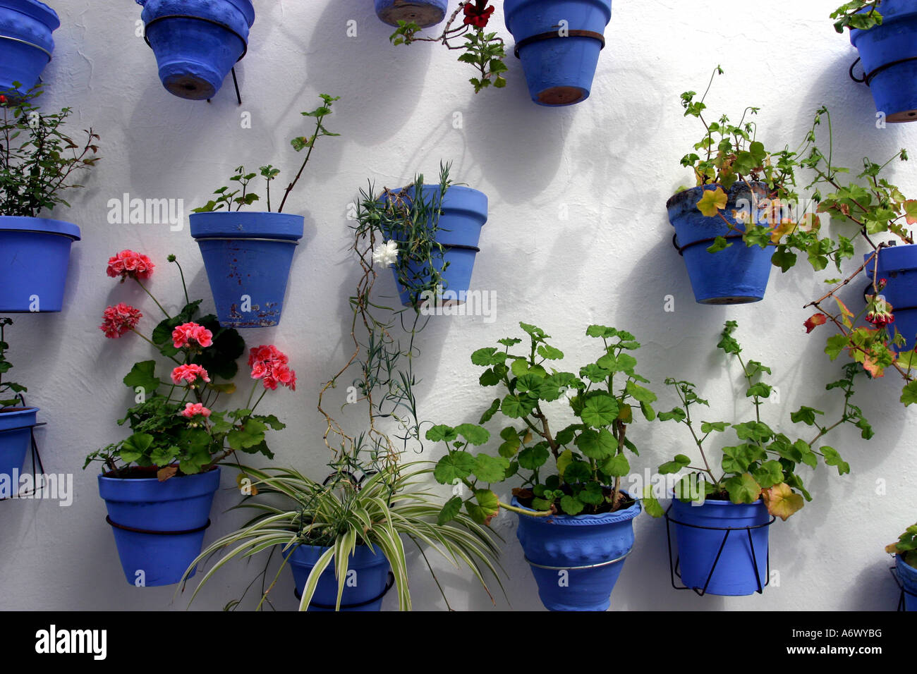 Flower pot Wall Garden Stock Photo - Alamy