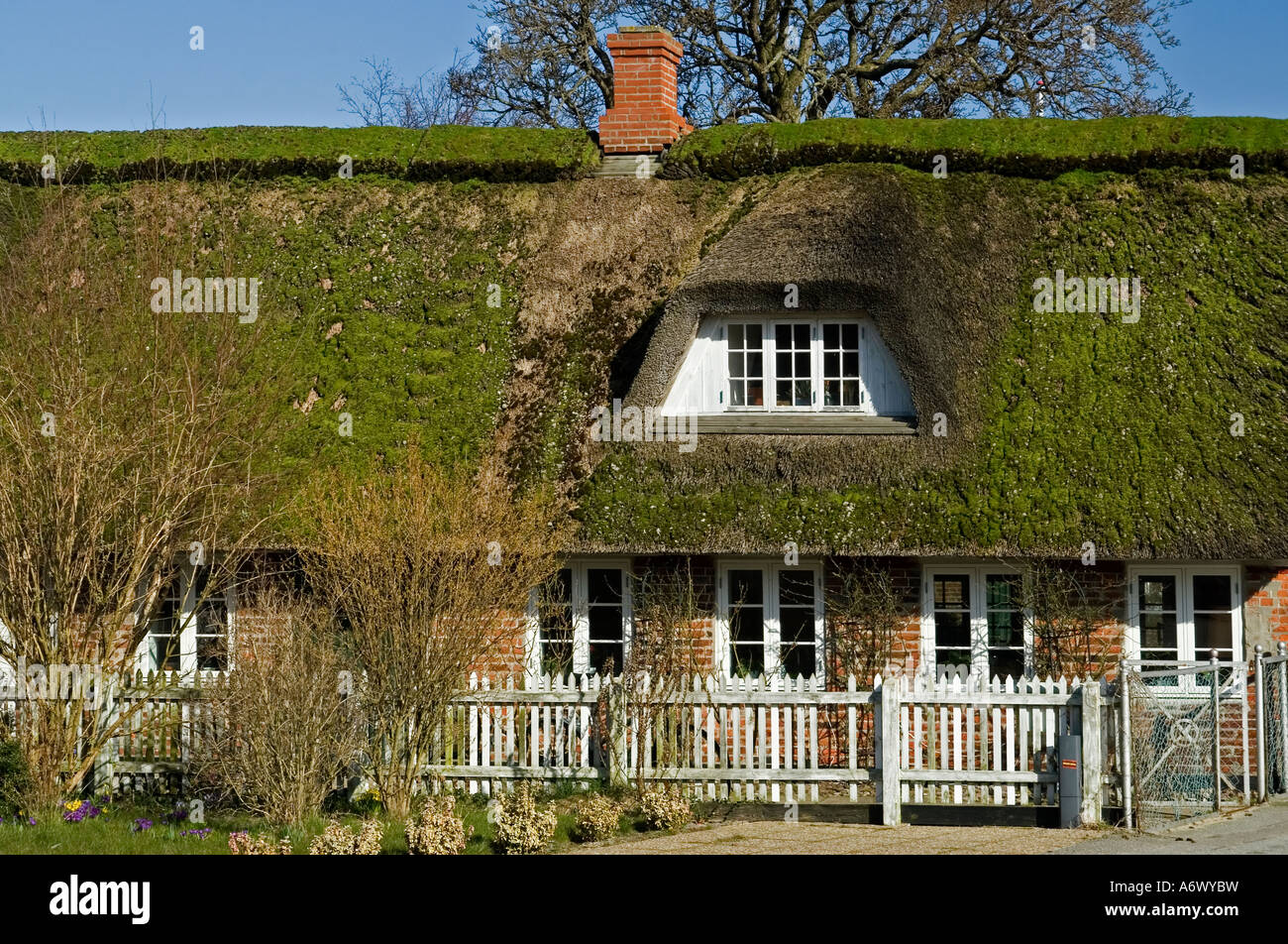 Fanø - or Fanoe - cottage with moss covered thatched roof Fanoe ...