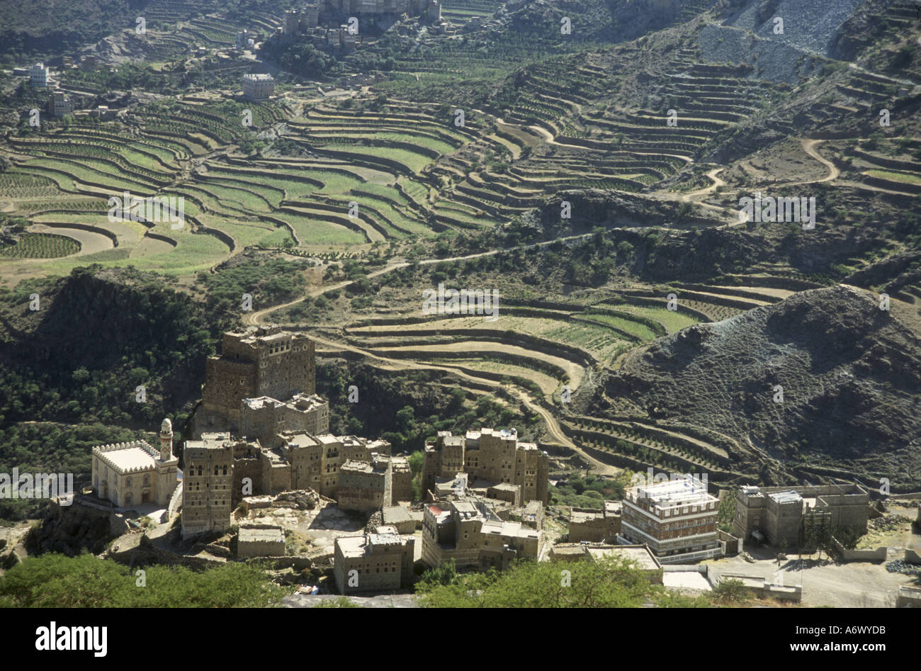 Yemen, Haraz Mountains, Hilltop village and terraced fields of qat ...
