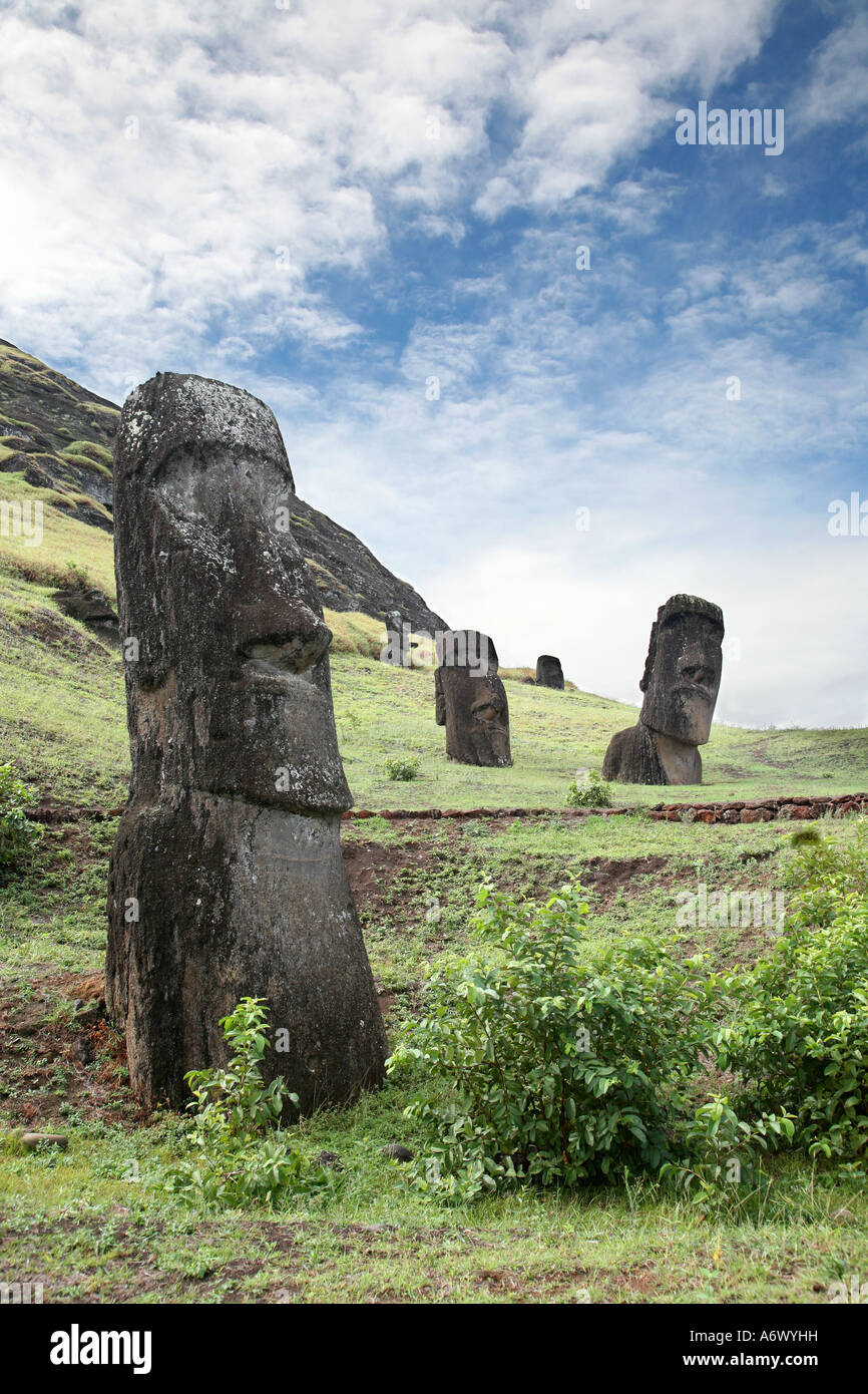 Easter Island Rapa nui Moai ( Heads Stock Photo - Alamy