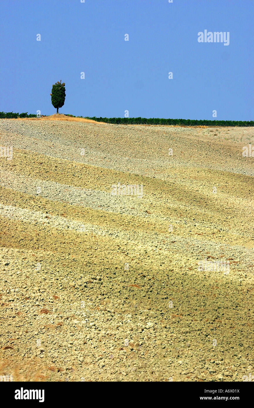 Tuscan landscape Polular Cypress tree field plough Stock Photo - Alamy