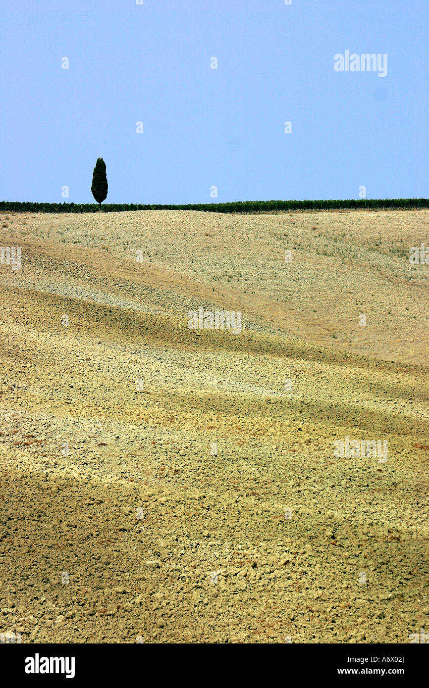 Ploughed fields with cypress trees hi-res stock photography and images ...